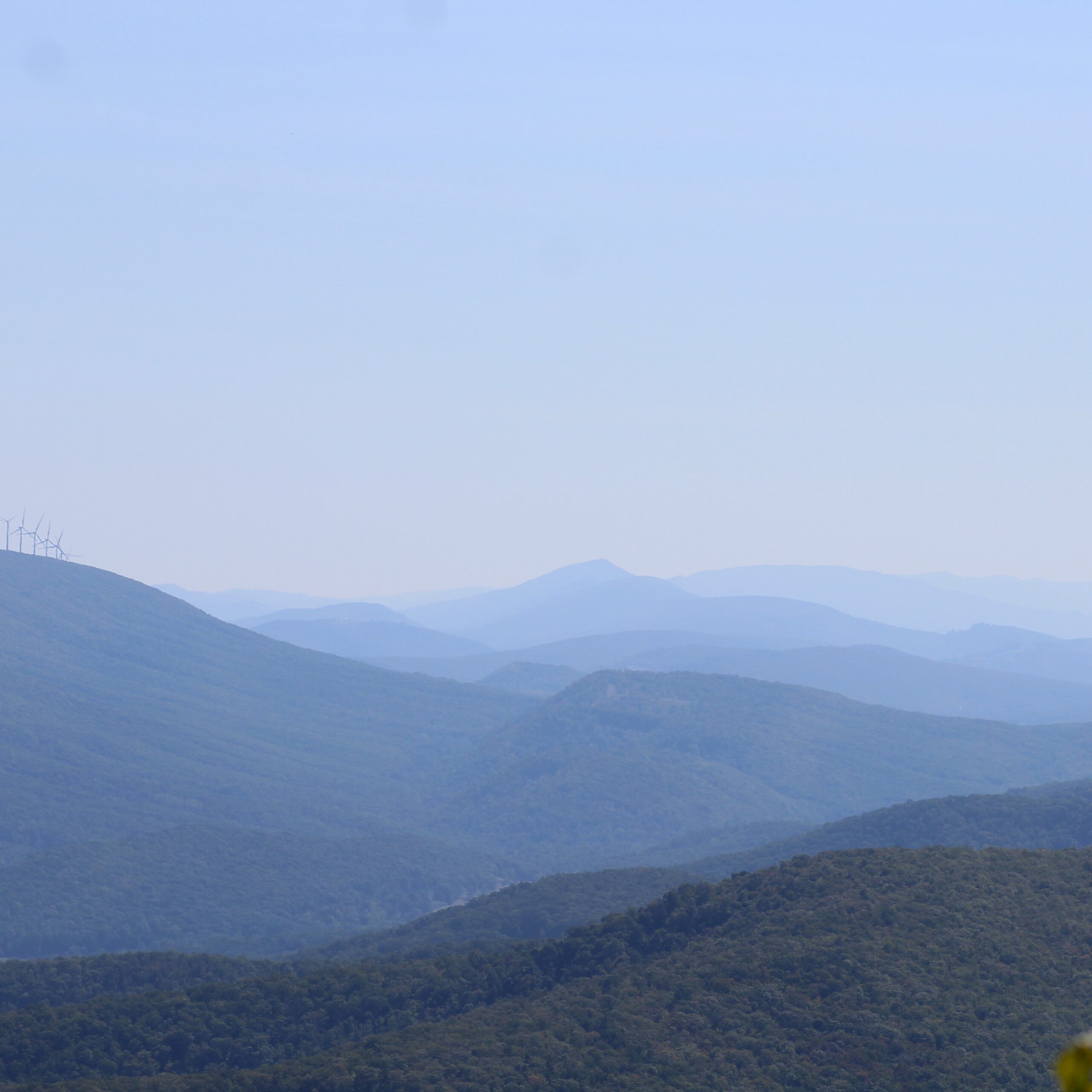 Waters & Wildlife Itinerary - Potomac River Highlands